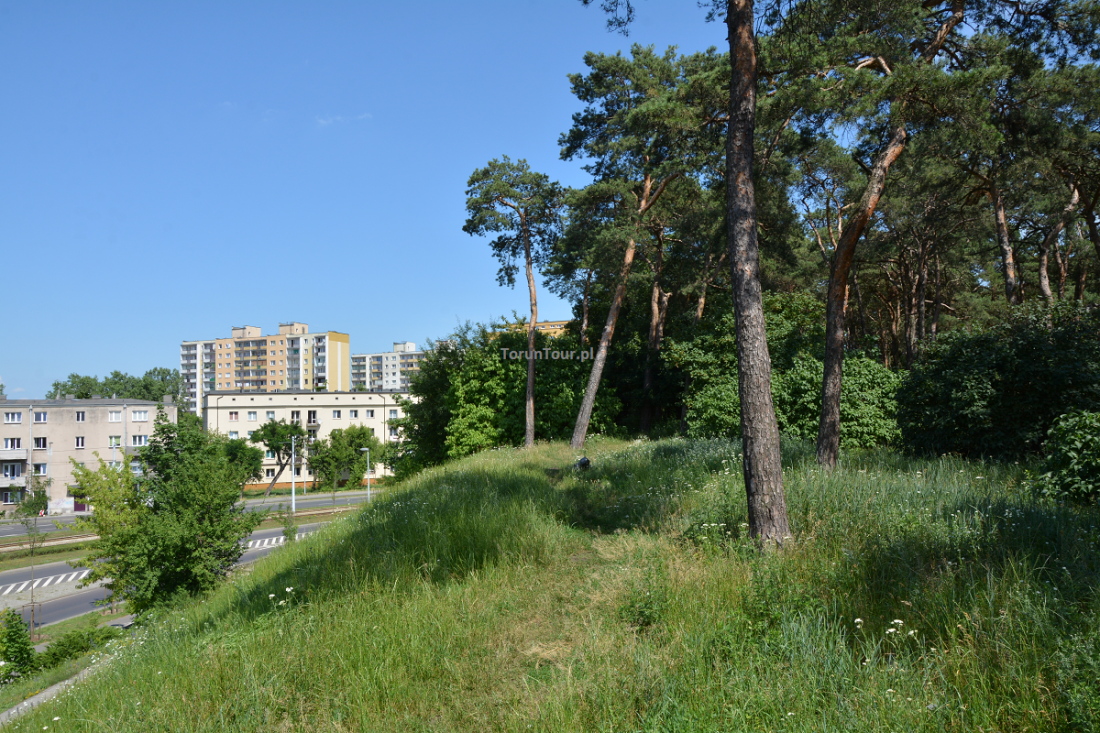 Góry toruńskie - TorunTour PL